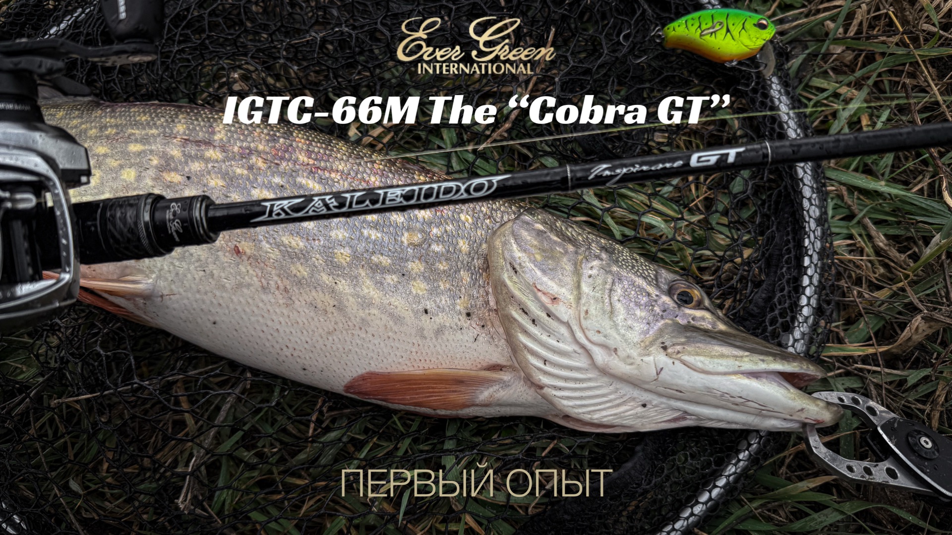 Evergreen Kaleido IGTC-66M The “Cobra GT”. Первый опыт. Зимняя щука на воблеры.