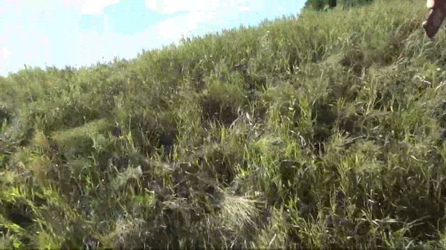 Раскрывая горизонты. Назаровка - Чучково. В поисках приключений.