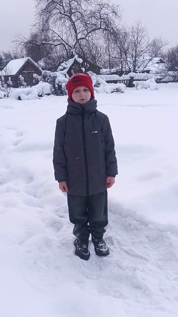 Николай Рубцов "Первый снег".