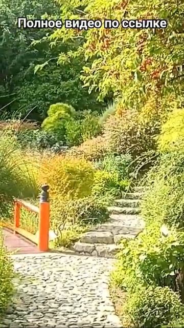 #айвазовское#партенит#южныйсад#садыкрыма#декоративныйсад#удачныйсад