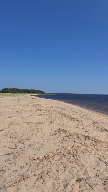 Карелия 2025. Челмужская коса. Онежское озеро. Июль 2025г (Часть 28)