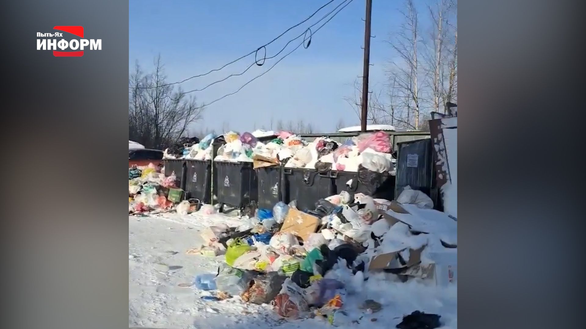 Ситуация с вывозом ТБО в Пионерном