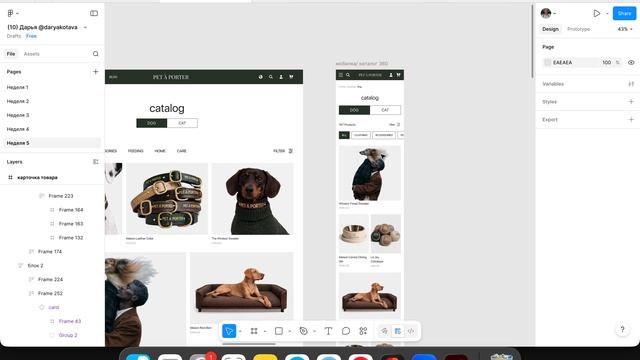 Неделя 5_Дарья_Куратор Юля