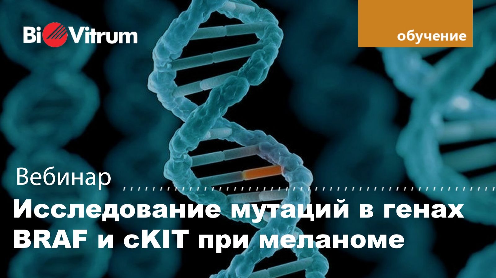 Вебинар Исследование мутаций в генах BRAF и cKIT при меланоме
