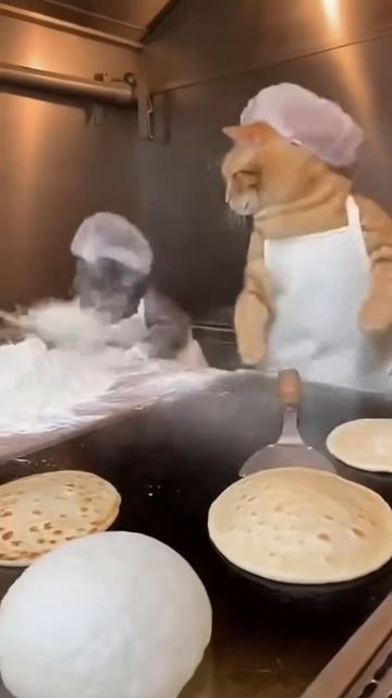 Разборки на кухне