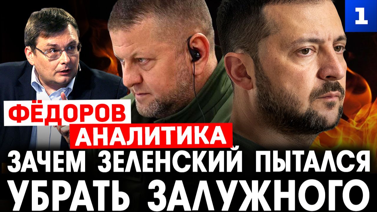 Фёдоров: зачем Зеленский пытался убрать Залужного