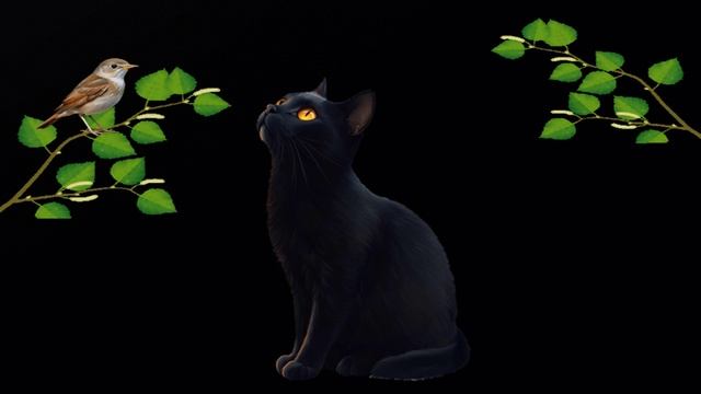 Соловьиная песня. Звуки соловья в лесу