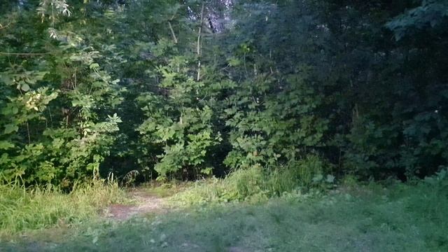 Ловля карася и окуня на карьере! Новый уровень комфорта