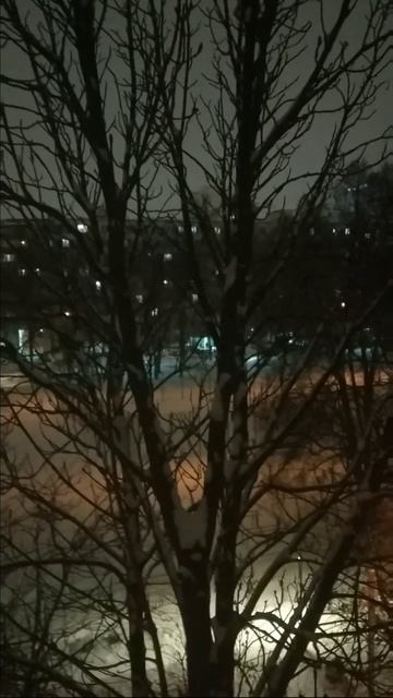 ДАЛЬНИЕ ДОРОГИ. песни Маргариты Майской.