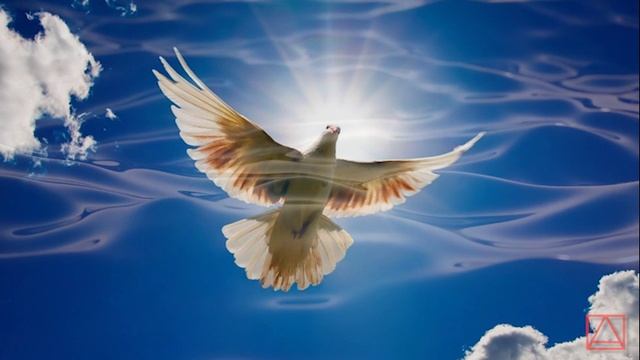 Блаженнаго Диадоха ПОДВИЖНИЧЕСКОЕ СЛОВО ч.26