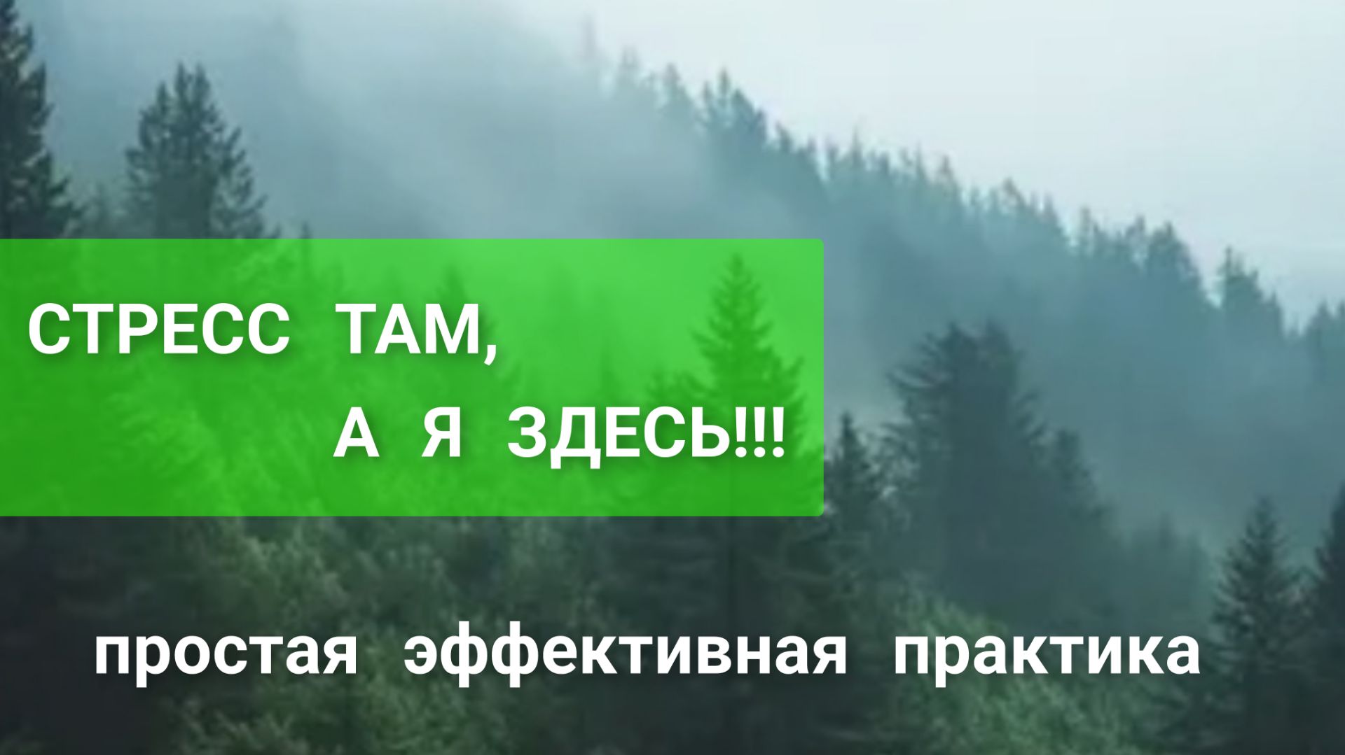 СТРЕСС ТАМ, А Я ЗДЕСЬ / простая эффективная практика