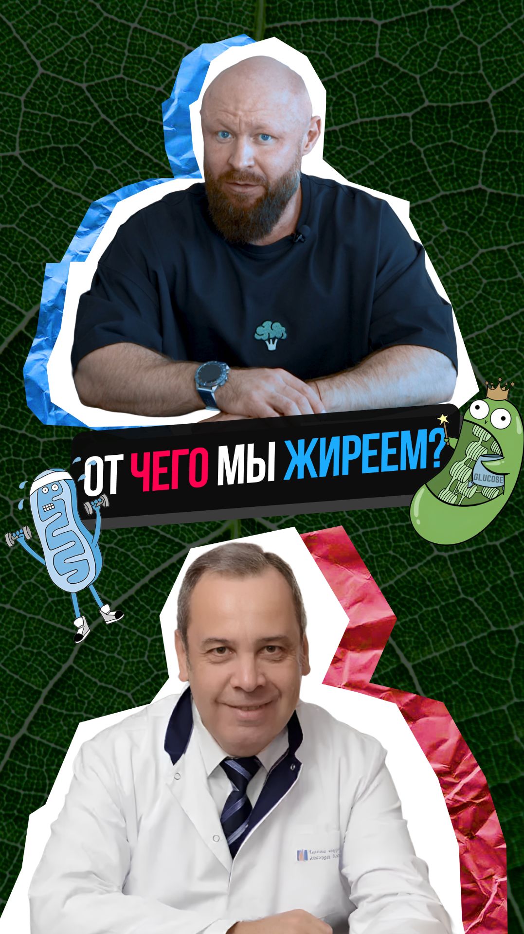 Человек не Жиреет от Жира, как не Зеленеет от Зелени!