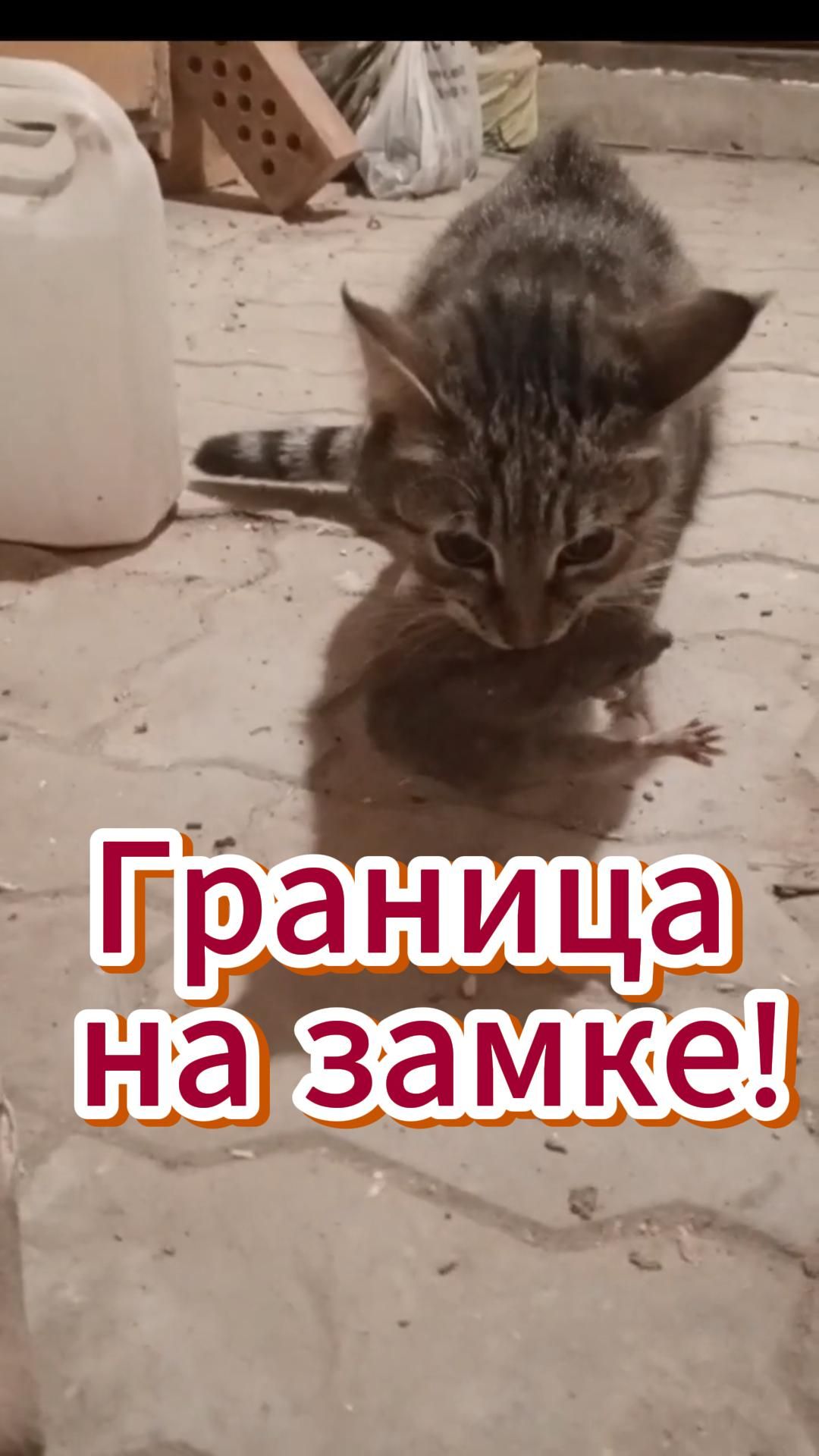 🔥 Граница на замке!