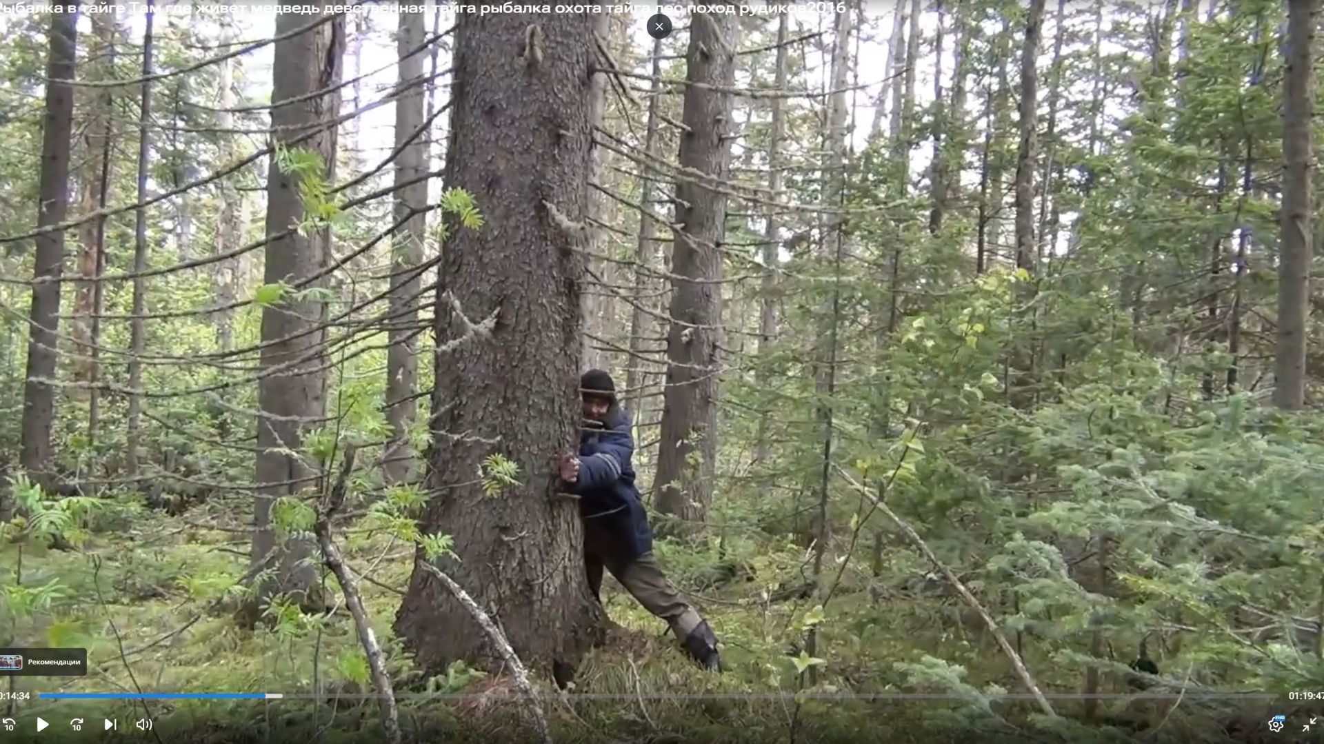 Рыбалка  в тайге Там где живет медведь девственная тайга  рыбалка охота тайга лес поход рудиков2016