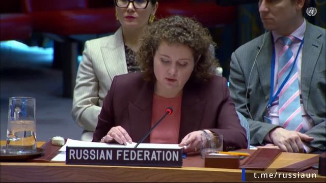 🇷🇺🇺🇳 Выступление А.М.Евстигнеевой на заседании Совета Безопасности ООН по Судану 19 февраля 2026