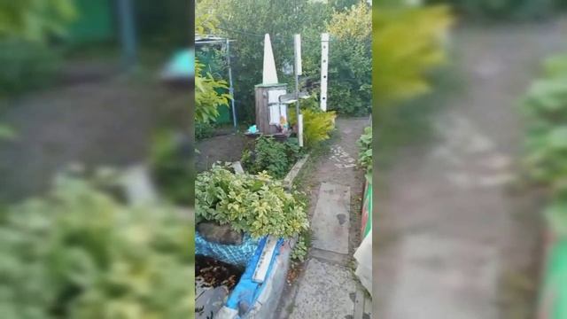 летний день в саду