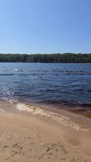 Карелия 2025. Челмужская коса. Онежское озеро. Июль 2025г (Часть 26)