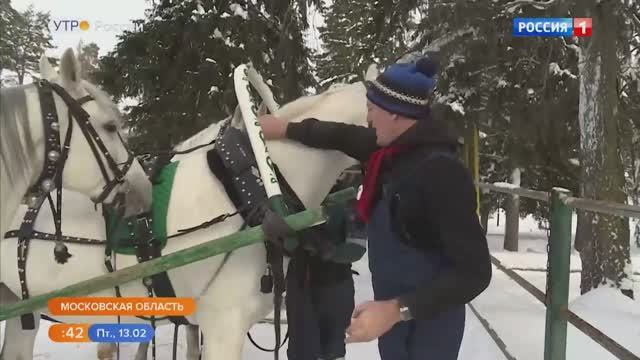 Орловская тройка МКЗ в программе "Утро России" на канале "Россия 1"