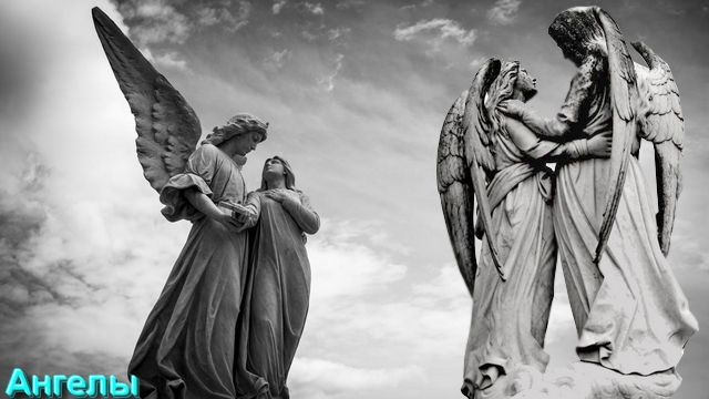 Из записной книжки батюши от 20.02.26