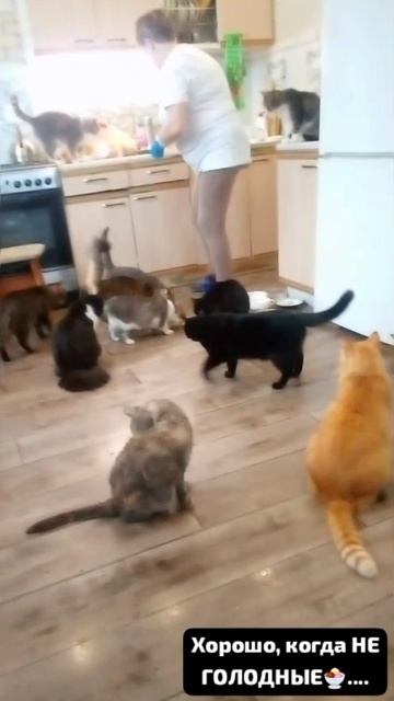 Распаковочный момент НЕголодного дня. Завтрак.