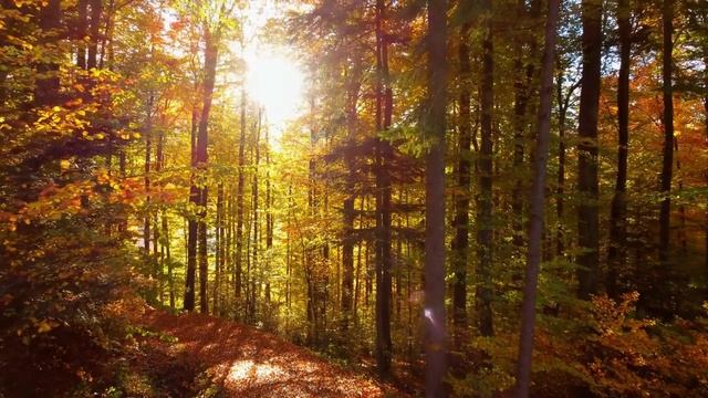 Современная славянская музыка 2026 лета от РХ