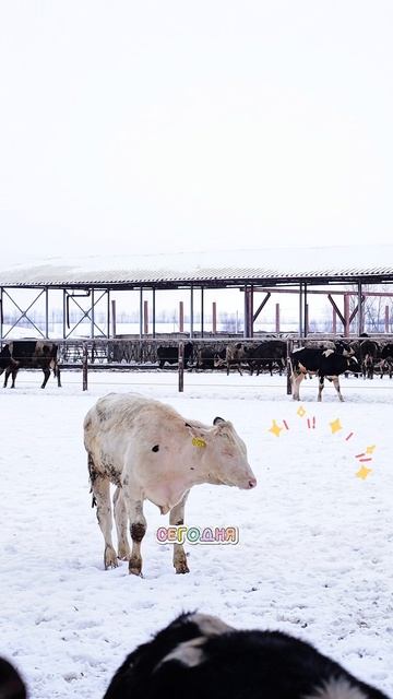 А как вы восстанавливаетесь после рабочей недели?