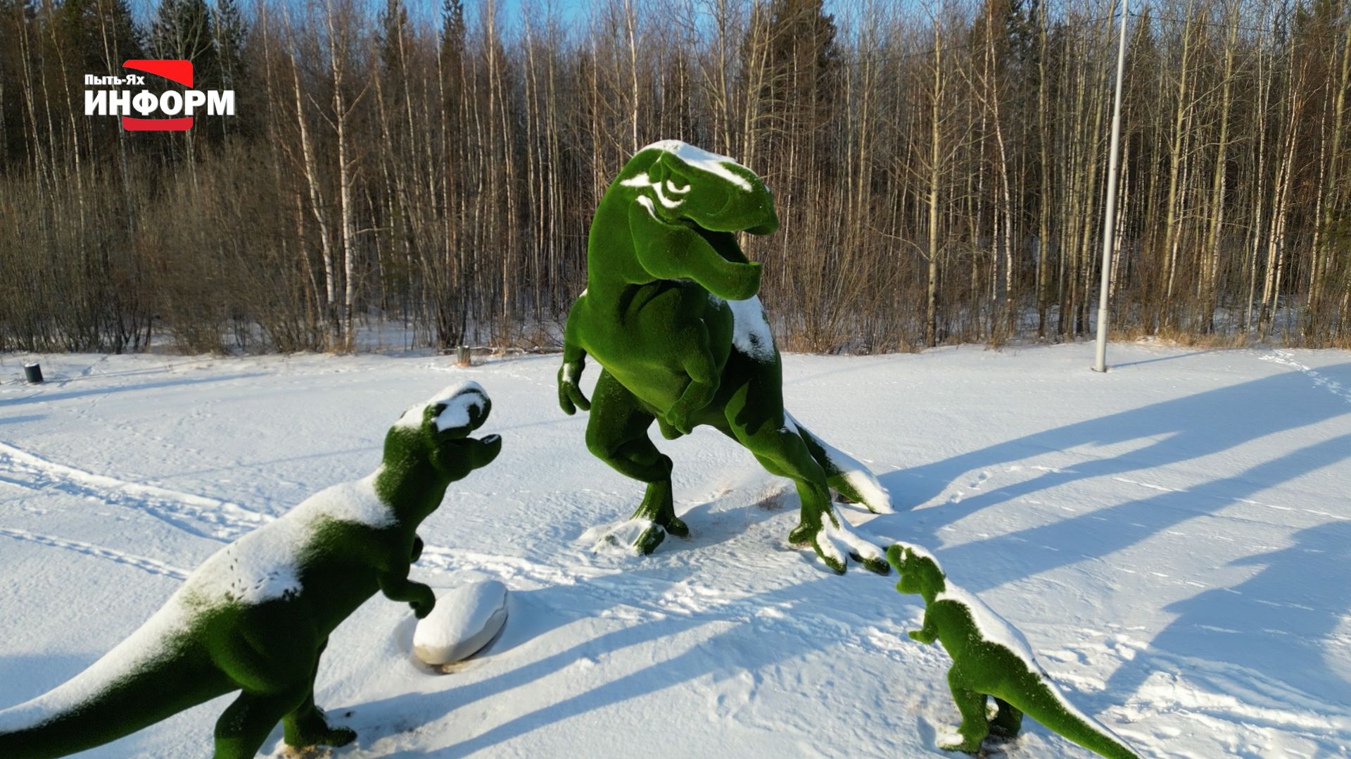 Ситуация с «Динопарком-86»