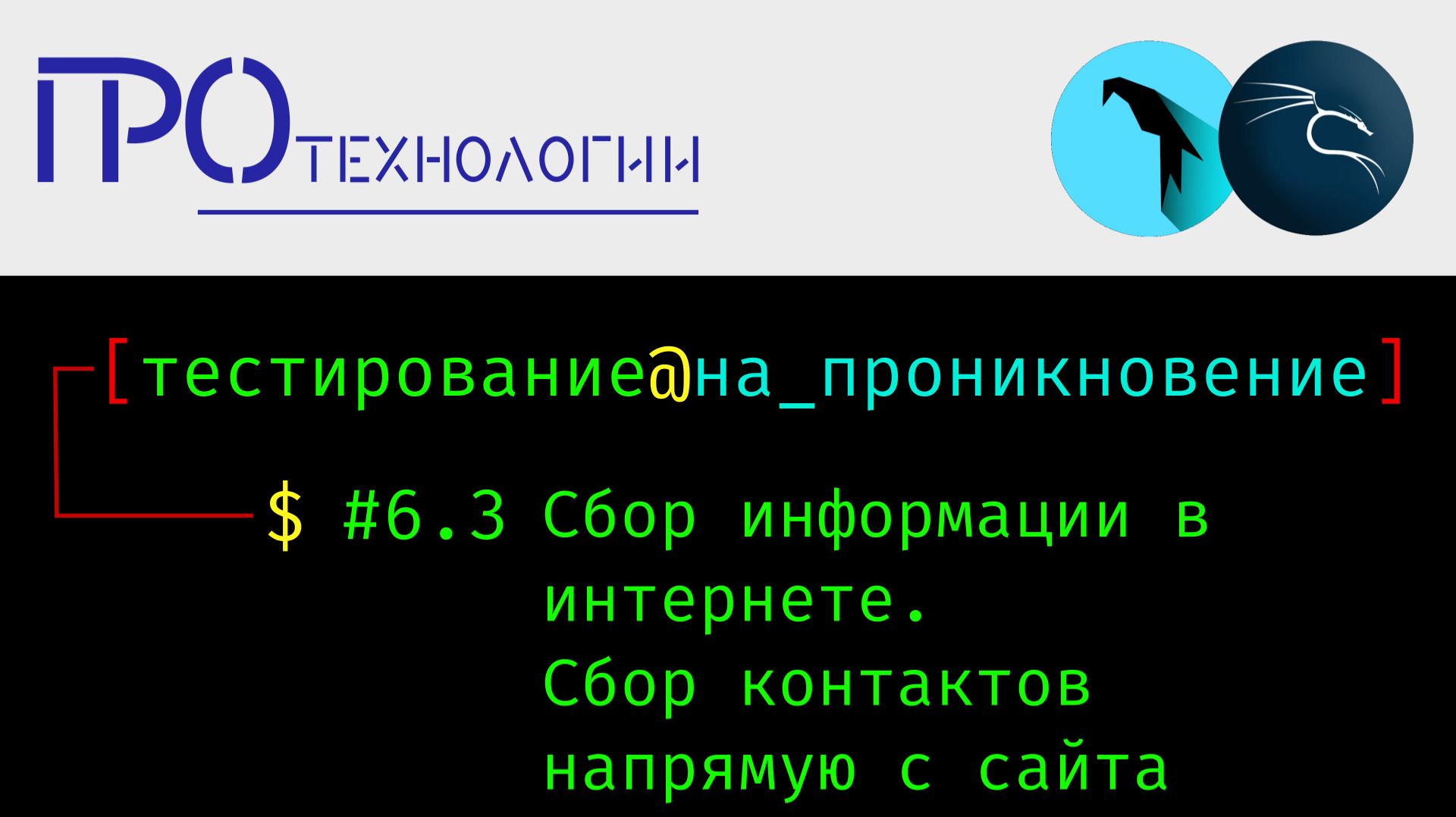 Pentest 6.3 Сбор информации в интернете. Сбор контактов напрямую с сайта.