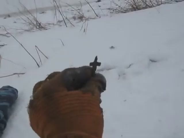 СТАРИННЫЙ СЕВЕРНЫЙ КРЕСТИК 14 ВЕКА! НАЙДЕН! ПРИБОРНЫЙ ПОИСК ЗОЛОТА!