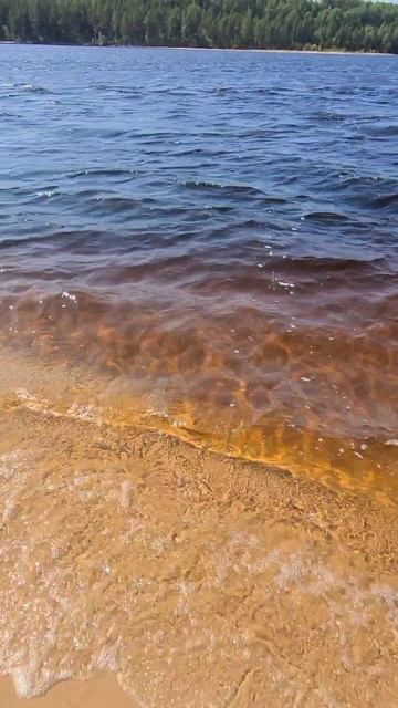 Карелия 2025. Челмужская коса. Онежское озеро. Июль 2025г (Часть 27)