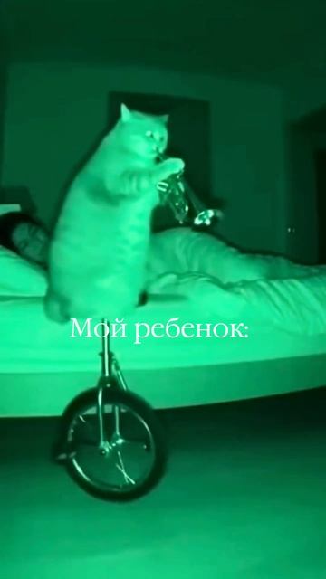 Выключается свет - просыпается мафия