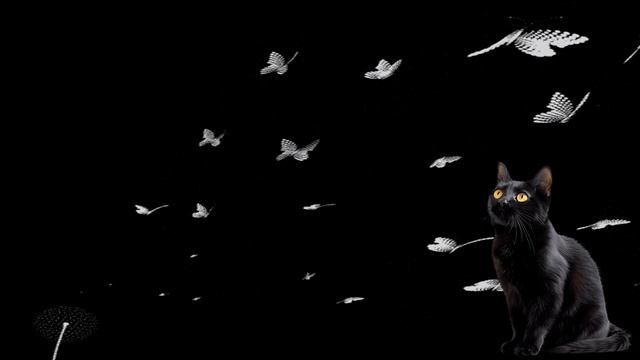 Звуки ветра для отдыха