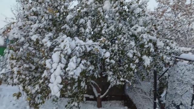 поздняя осень