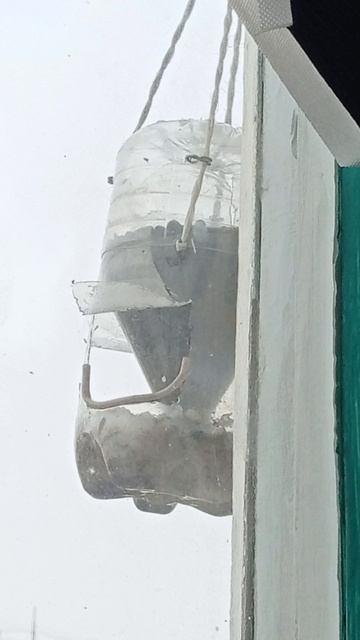 на кормушке2