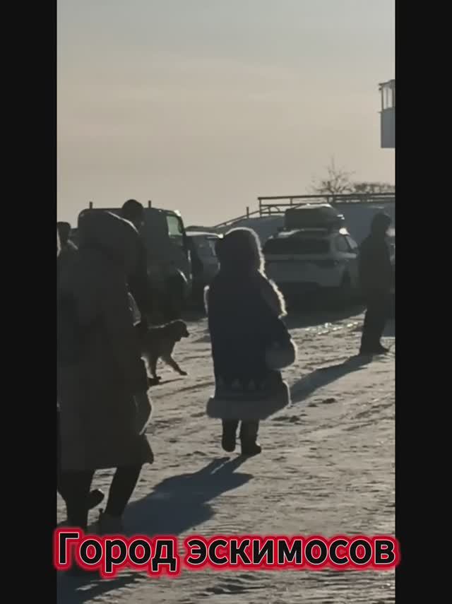 Новосибирск. Зимний фестиваль иглу. Город эскимосов