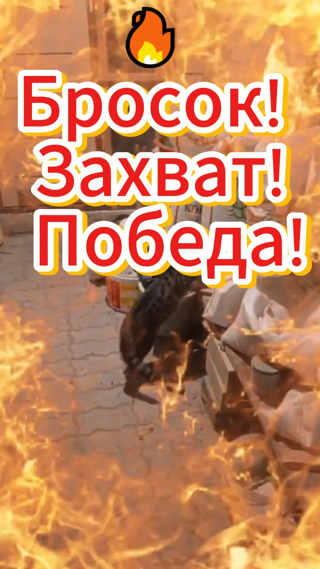 🔥 Бросок! Захват! Победа!