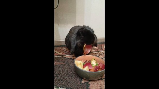 Марксик лакомится яблокочком