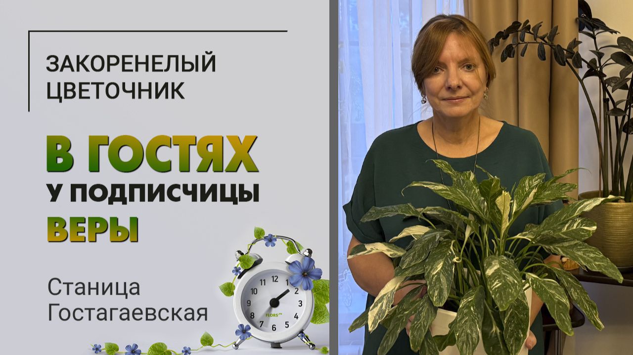 В гостях у Веры. ст. Гостагаевская. Орхидеи - любовь на всю жизнь. Как растения переехали с Камчатки