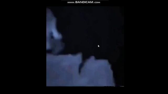 Такое есть только тут. Загадочные и удивительные существа из Австралии