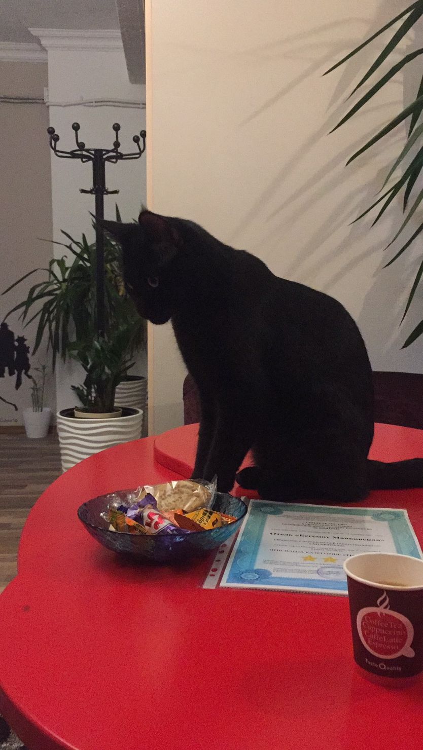 Хотите свой отель? Как быстро и  без лишних затрат открыть гостиницу, глэмпинг, кэмпинг