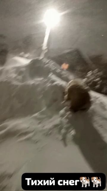 Пока сугробы- покапаю. Как растает- поваляюсь. 🤣