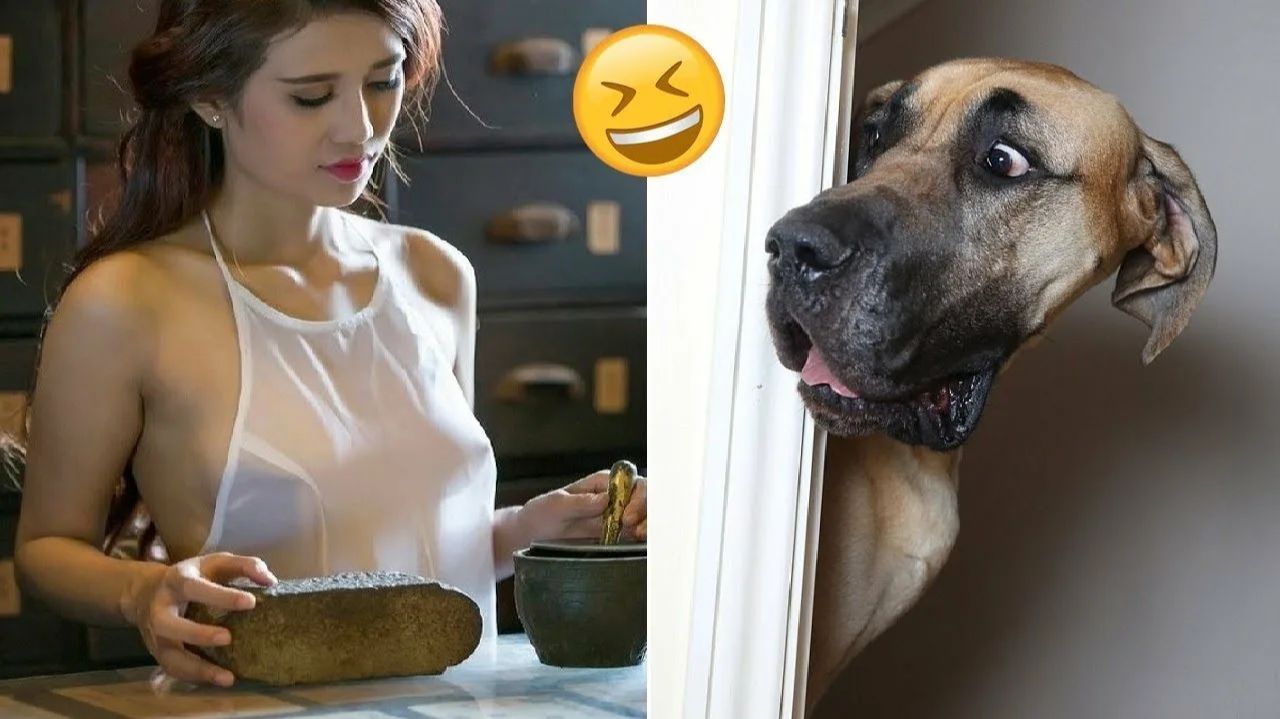 Я РЖАЛ ДО СЛЕЗ | СМЕШНЫЕ ВИДЕОПРИКОЛЫ |Смешные видео с животными и людьми | ПОДБОРКА ПРИКОЛОВ😂🤣