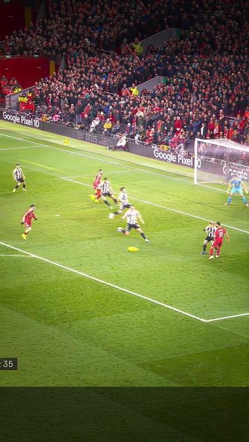 Экитики + Вирц