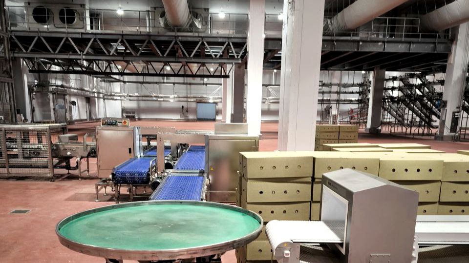 Подача коробов на заморозку в сторону боксфризера