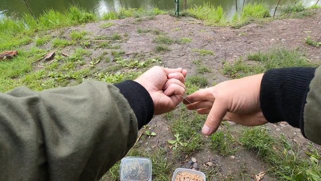 Монтаж и принцип ловли на снасть "Резинка