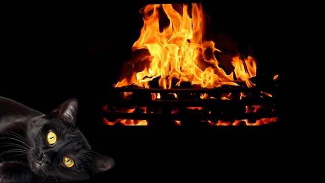 У костра. Звуки потрескивание костра