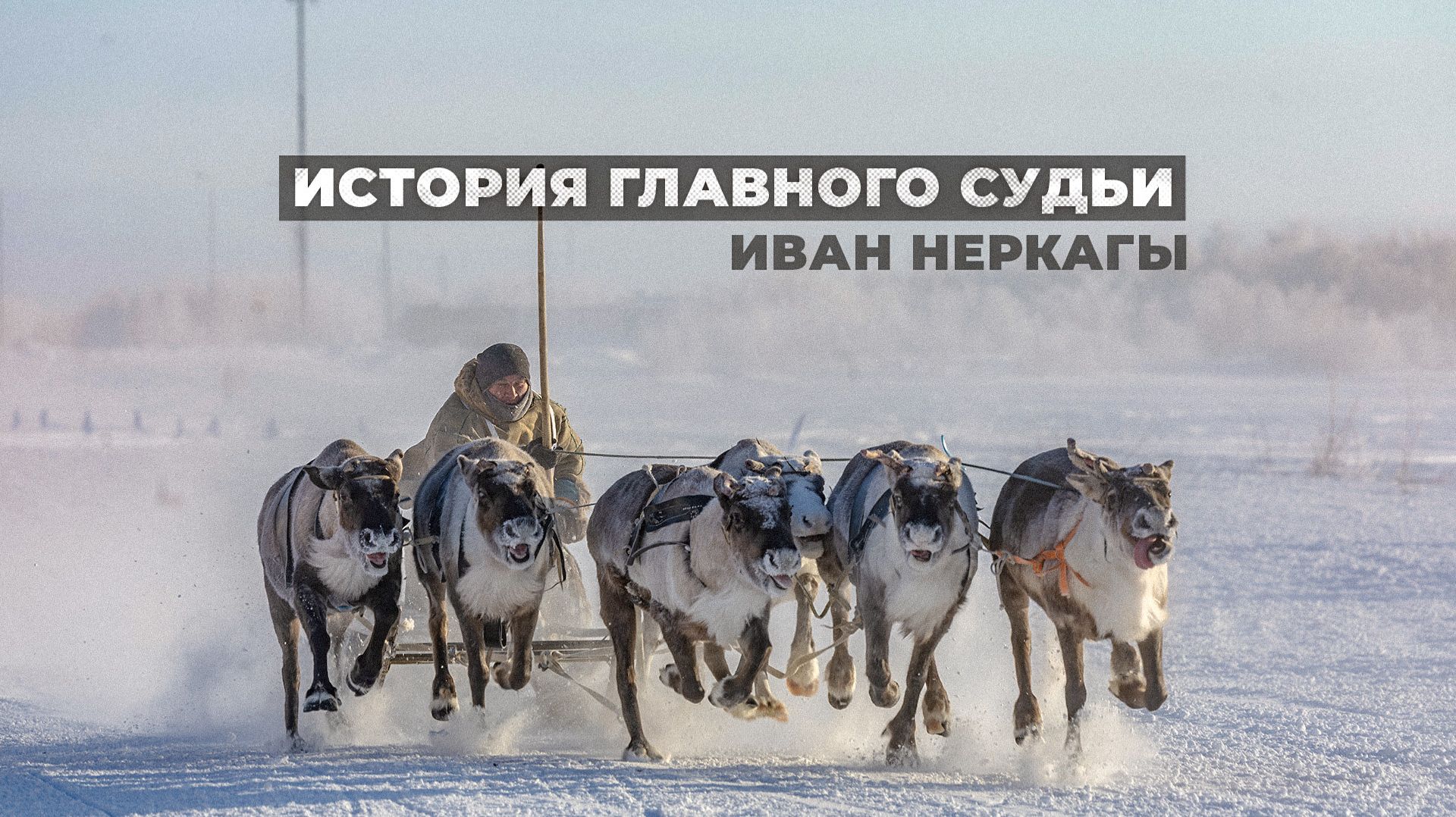 Надым открывает День оленевода: история главного судьи. Иван Неркагы | Ялэмдад нумгы