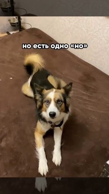 Все имеет свою цену