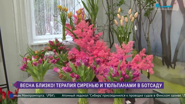 Оттепель чувств в Ботаническом саду Петра Великого