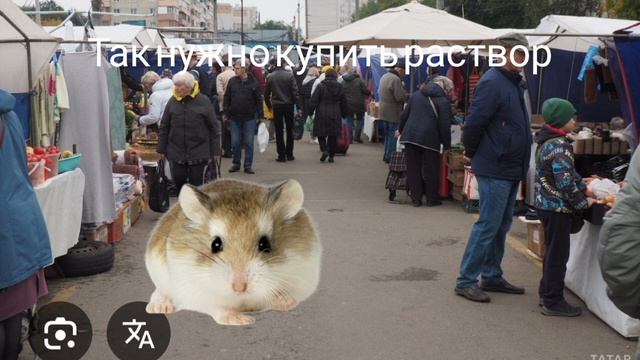 хомяк учёный
